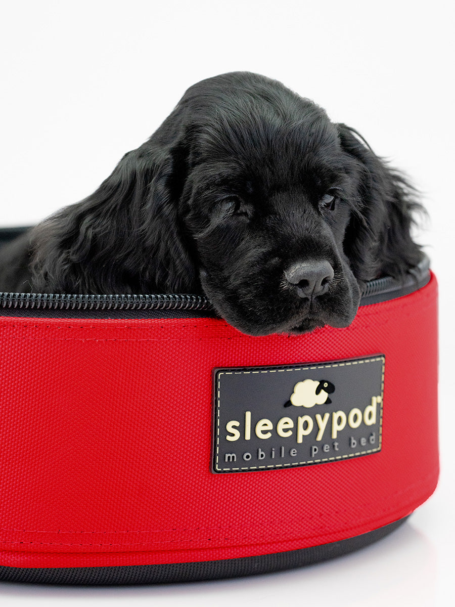 Sleepypod Mini – Sleepypod Europe