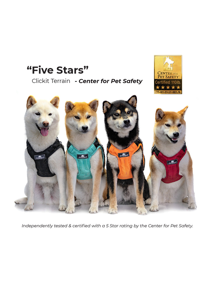 Clickit Terrain Plus – Sleepypod Europe